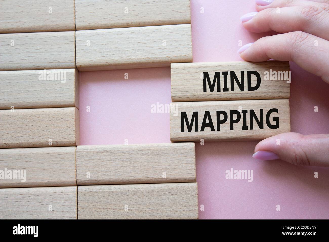 Mind Mapping symbol. Concept word Mind Mapping on wooden blocks ...
