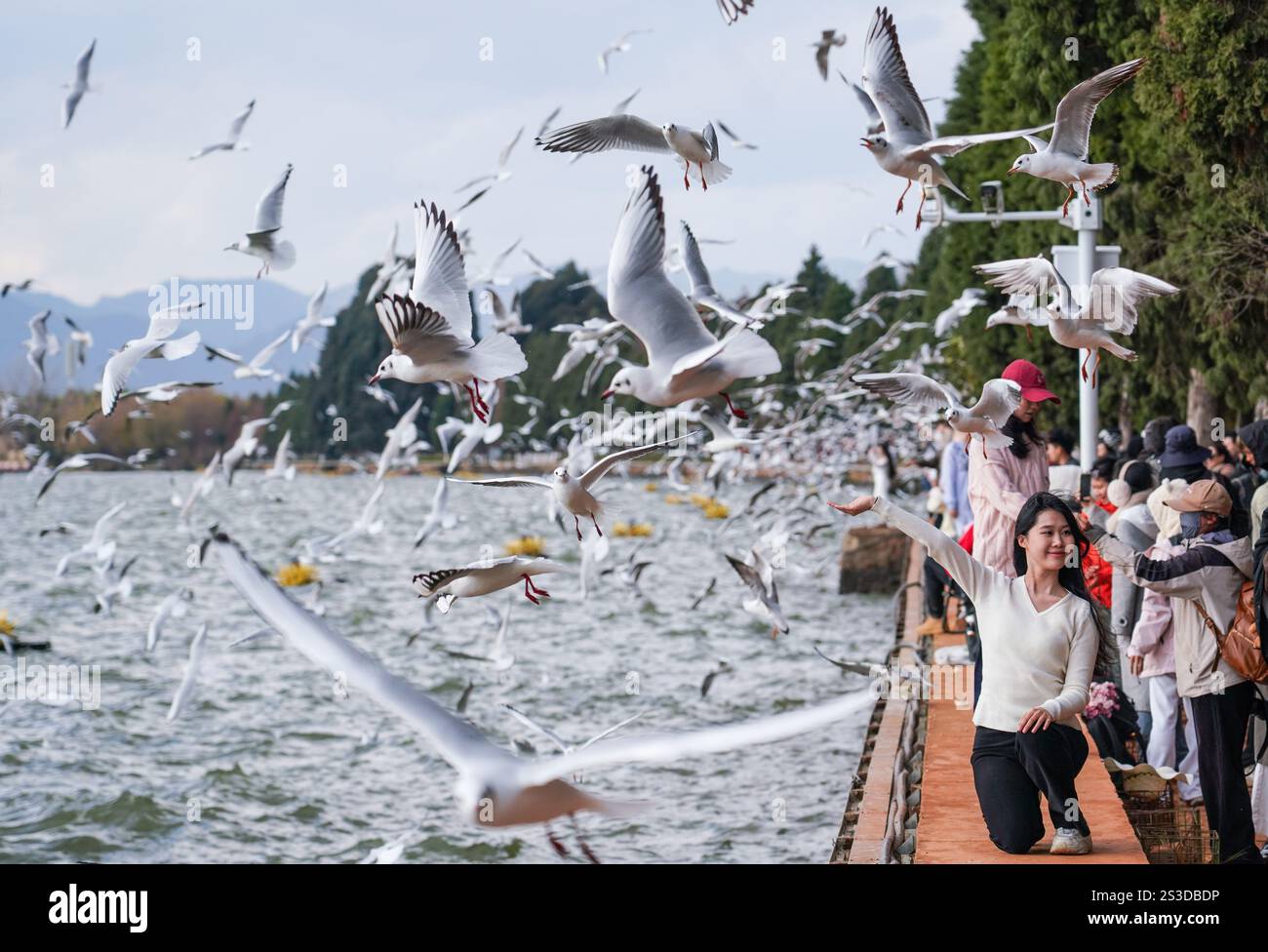 Kunming, China's Yunnan Province. 8th Jan, 2025. A tourist poses for ...