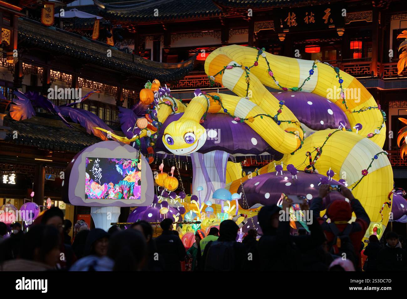 SHANGHAI, CHINA - JANUARY 9, 2025 - Visitors enjoy the Year of the ...