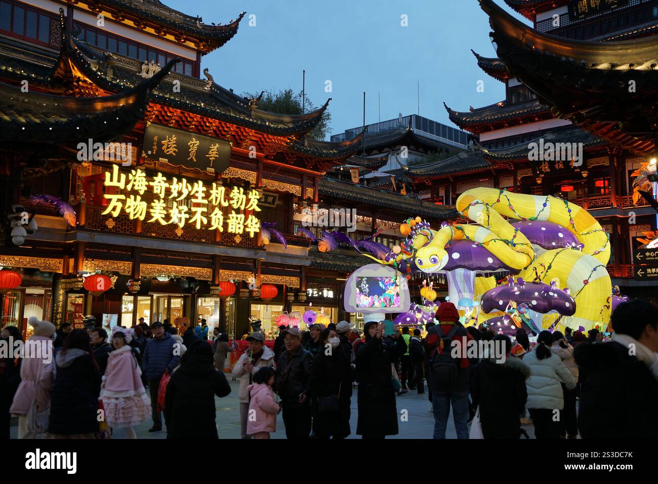 SHANGHAI, CHINA - JANUARY 9, 2025 - Visitors enjoy the Year of the ...