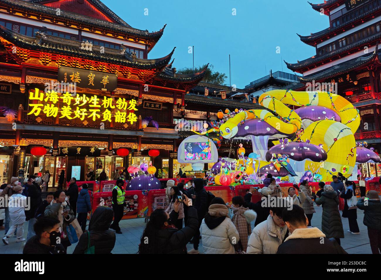SHANGHAI, CHINA - JANUARY 9, 2025 - Visitors enjoy the Year of the ...