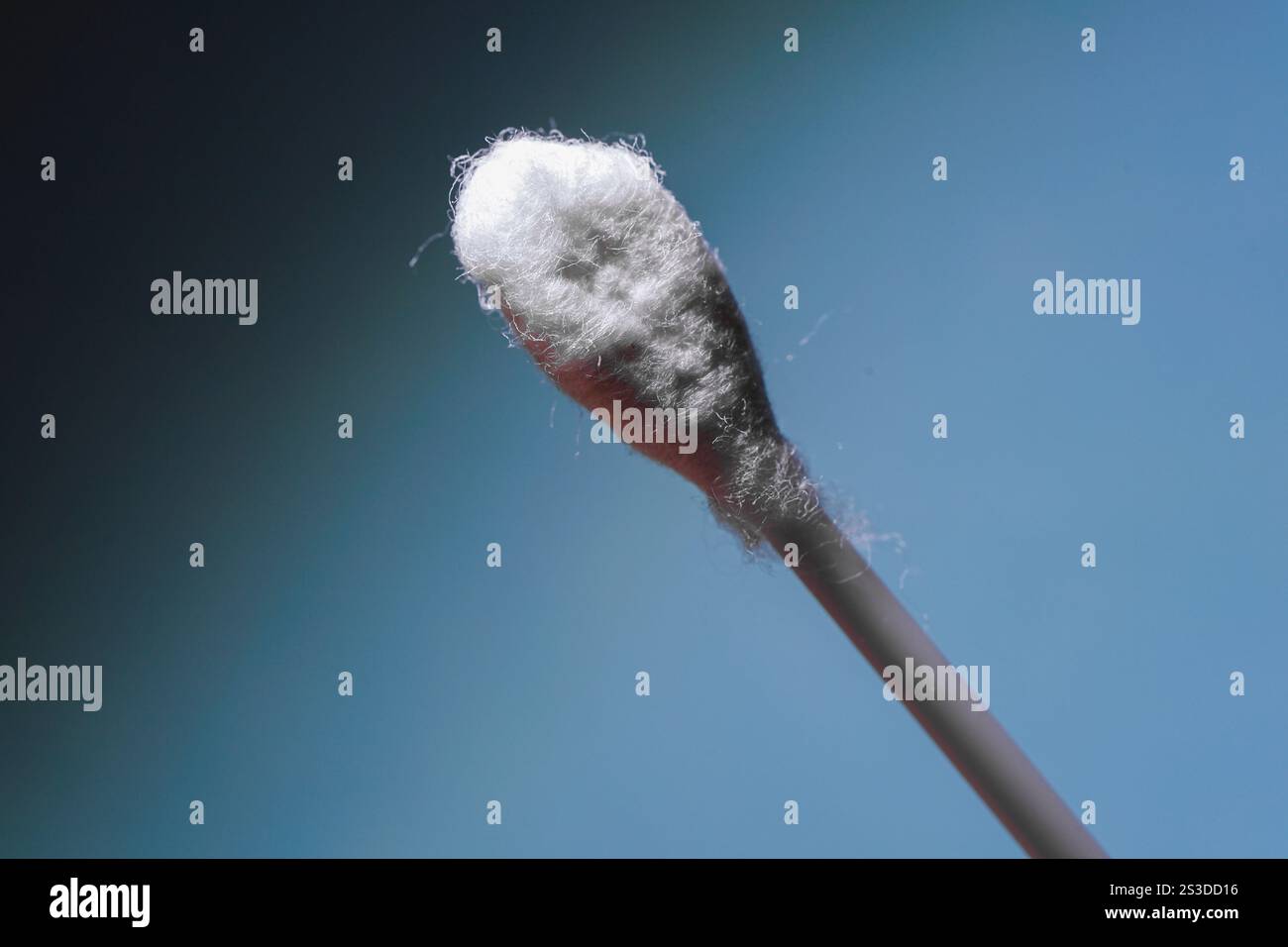 macro close up photo of a single cotton ear hygiene swab isolated with ...