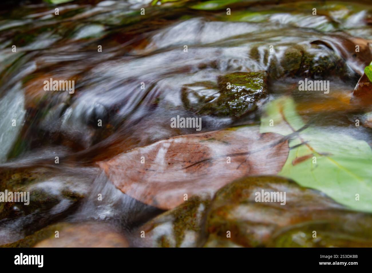 Sunny exterior view of the landscape of Linmei Shipan Trail at Taiwan ...