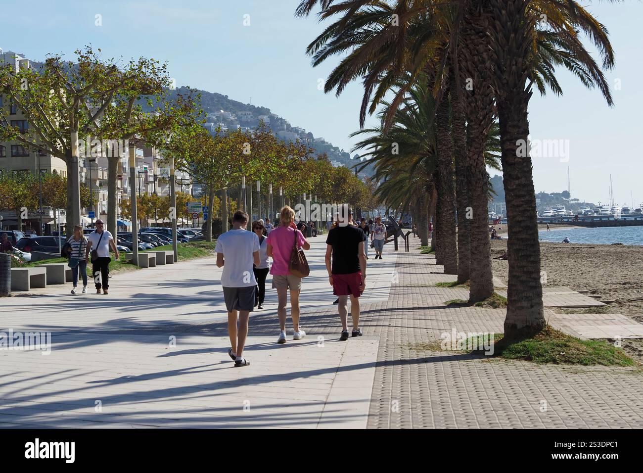 people walking in sunshine on the palm tree lined promenade at Roses ...