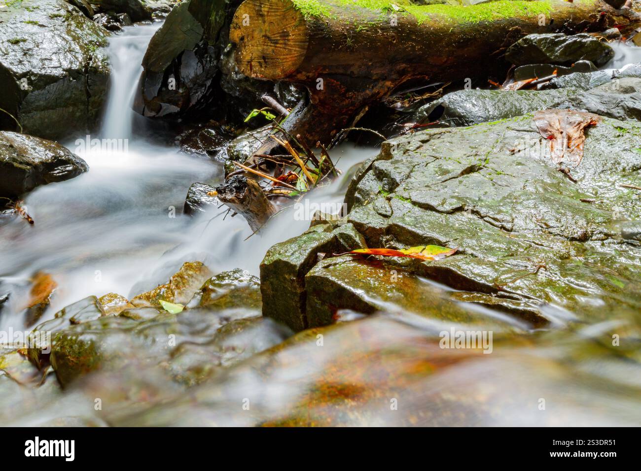 Sunny exterior view of the landscape of Linmei Shipan Trail at Taiwan ...