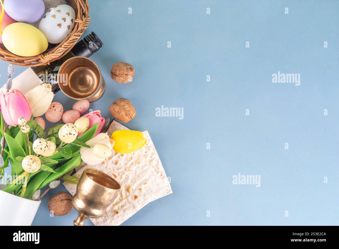 Pesah and Passover Jewish Spring holiday background with spring tulip ...