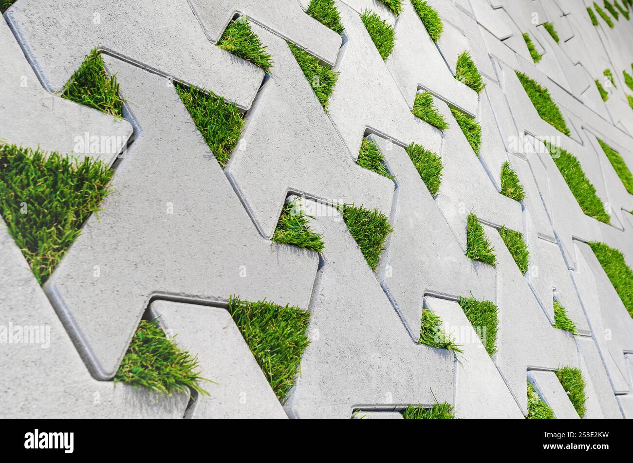 Eco paving stones with grass between paving stones. Green grass Stock ...