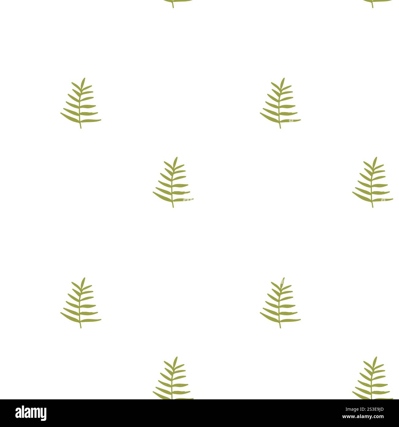 Soft green fern Stock Vector Images - Alamy