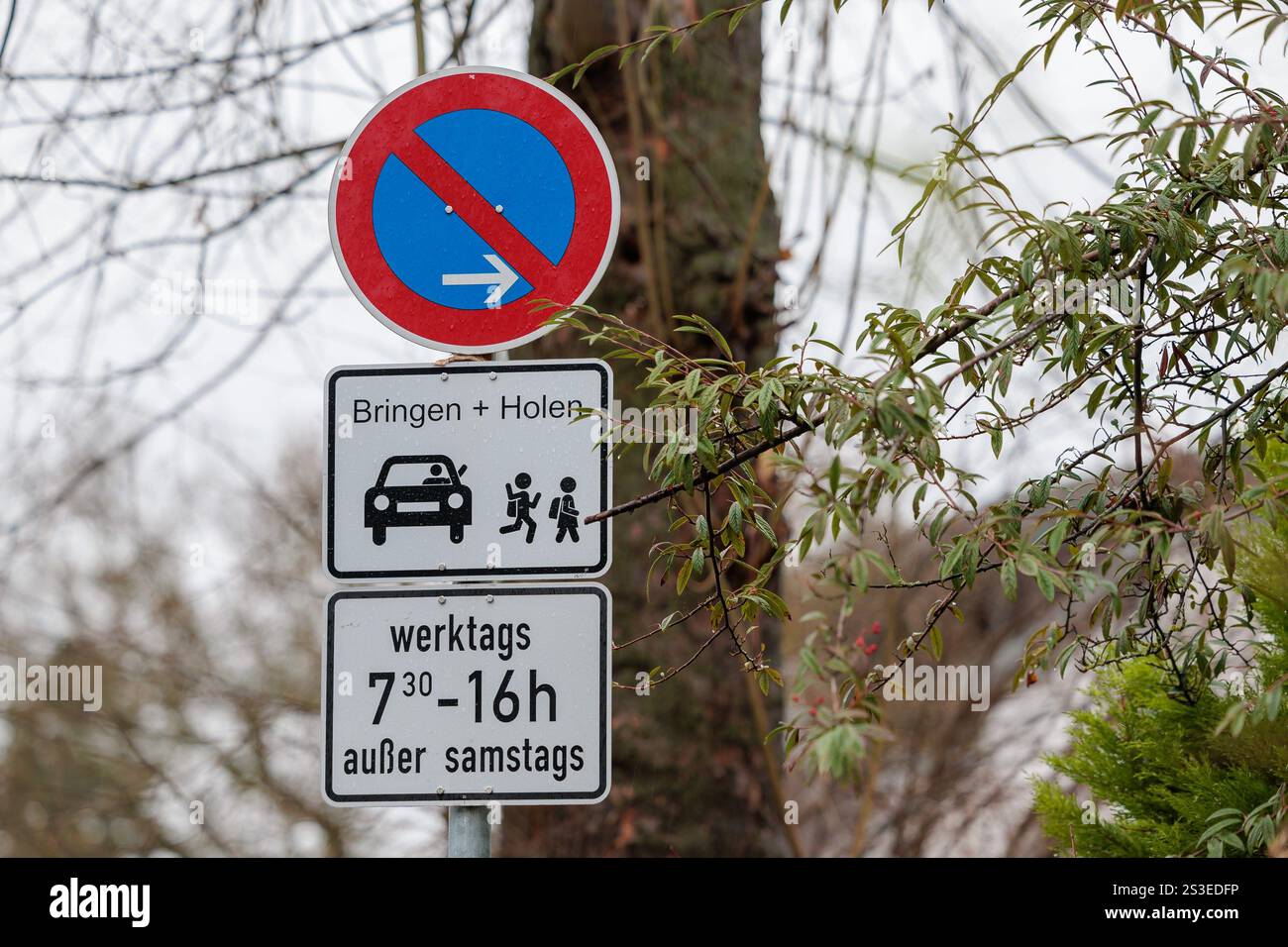 Mainz, Germany. 09th Jan, 2025. Traffic sign for the restricted ...