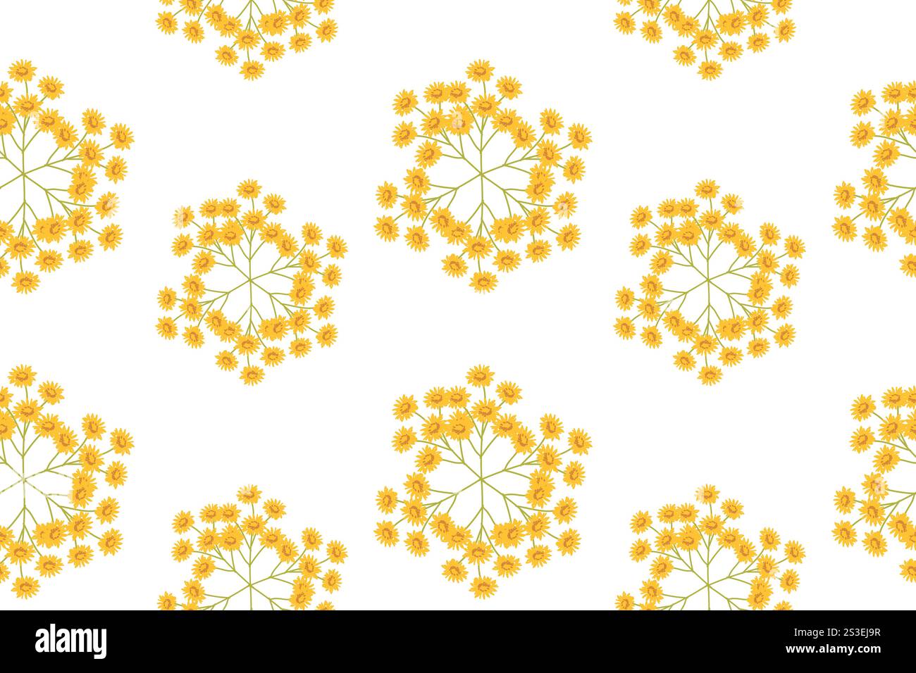 Lively circular pattern Cut Out Stock Images & Pictures - Alamy