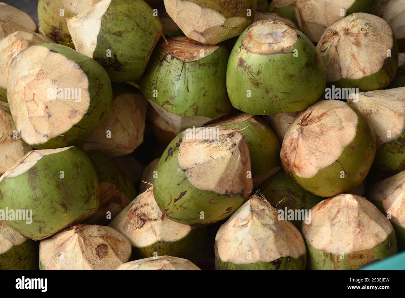 Pile fresh peeled coconuts hi-res stock photography and images - Alamy