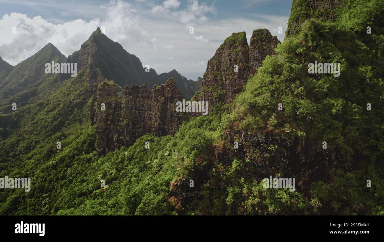 Landscape dense rugged forest hi-res stock photography and images - Alamy