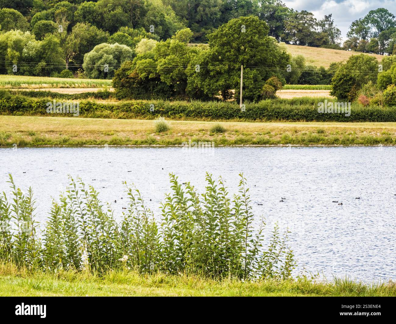English trout fishery hi-res stock photography and images - Alamy