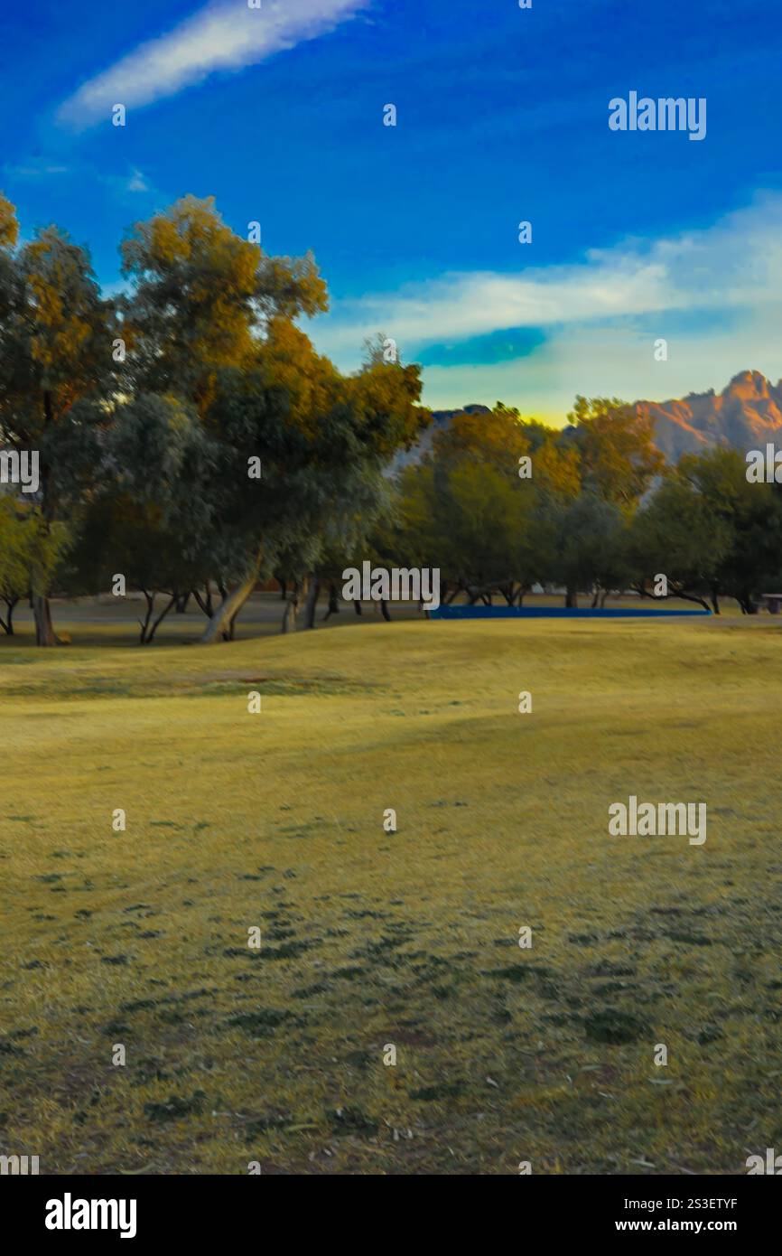 Golden sunlight casts a warm glow on scattered trees in a tranquil park ...