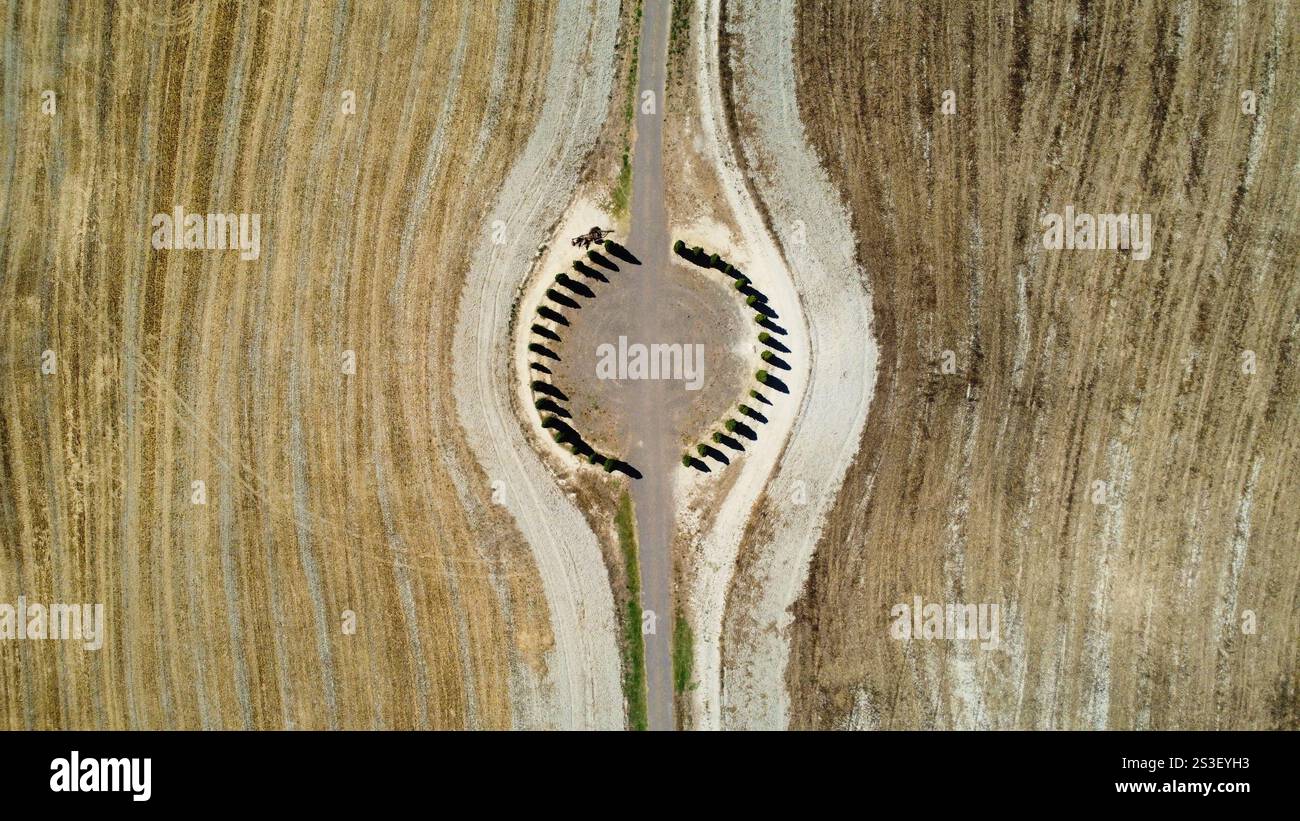 An aerial view of a circular tree formation surrounded by agricultural ...