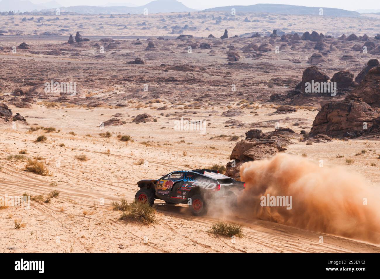 226 EKSTROM Mattias (swe), BERGKVIST Emil (swe), Ford, Ford M-Sport ...