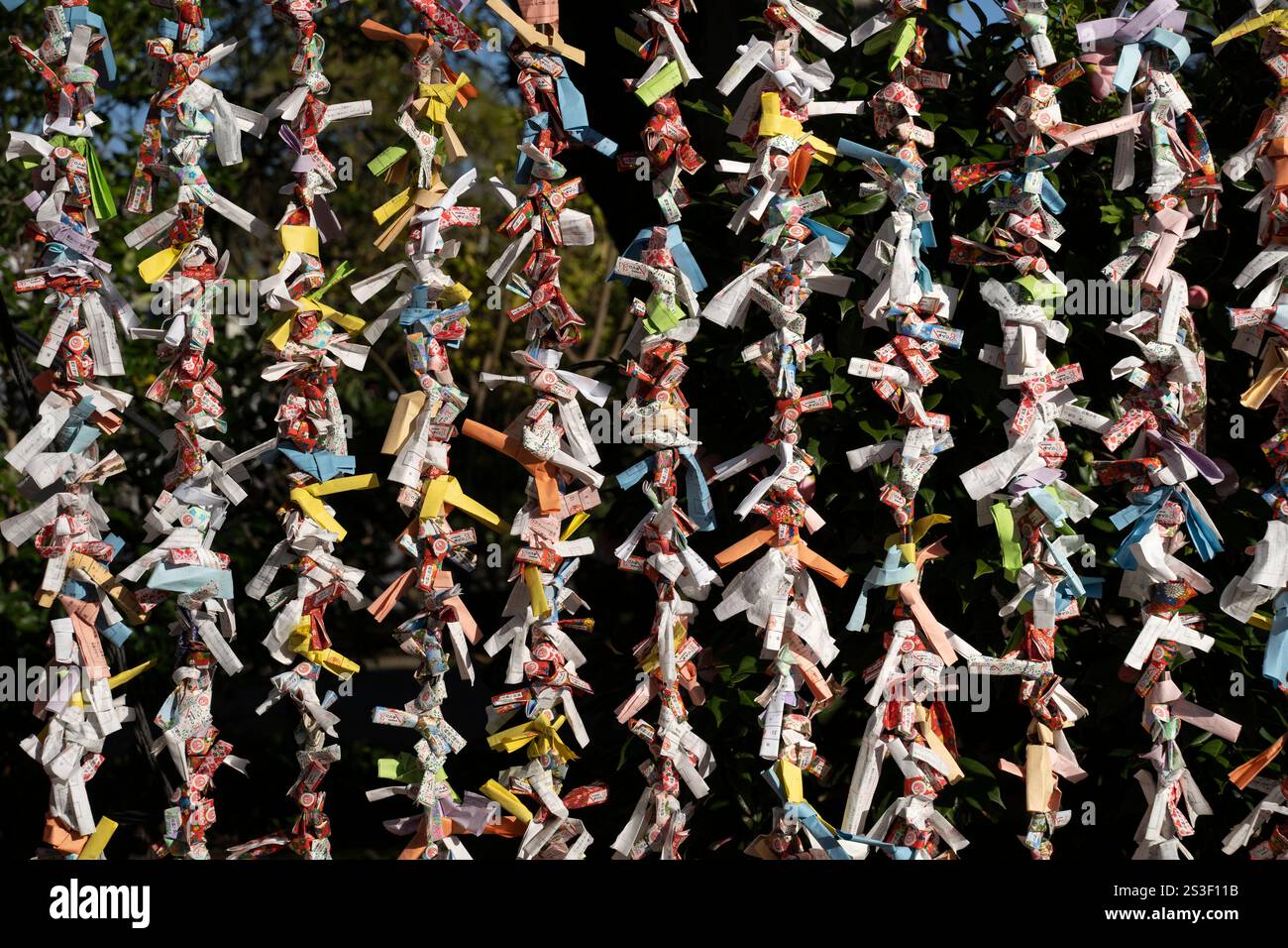 Prayer paper tied on the rope at Tsurugaoka Hachimangu Shrine in ...