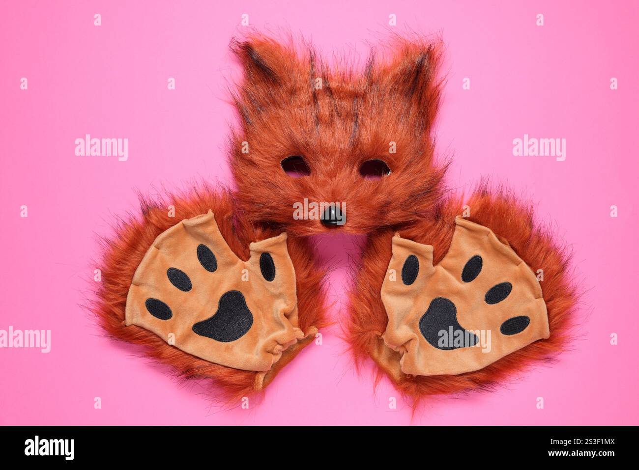 Quadrobics. Fox mask and gloves on pink background, flat lay Stock ...