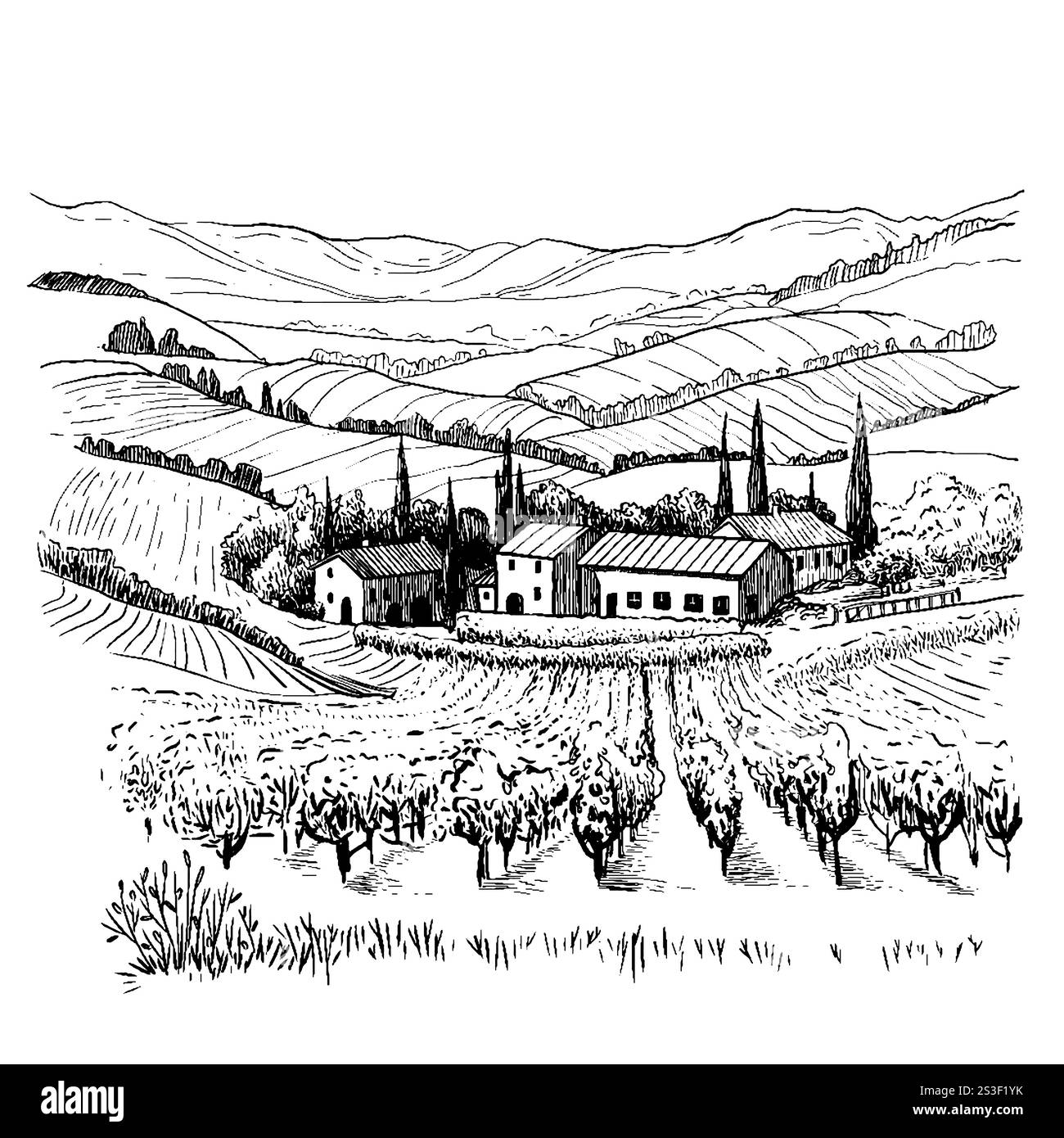 Landscape of rows of vineyards and farm winery in graphic style. Vector ...