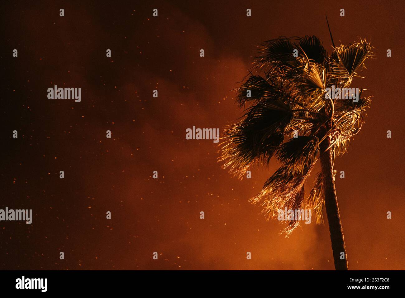 Palisades resident evacuate the area as the Palisades Fire grows to ...