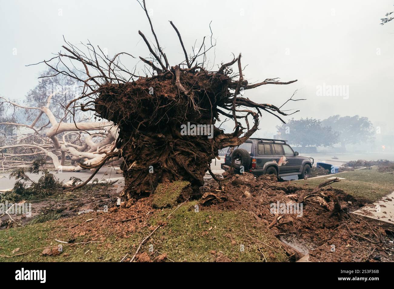 The Palisades Fire continues to rage on in its second day, extending to ...