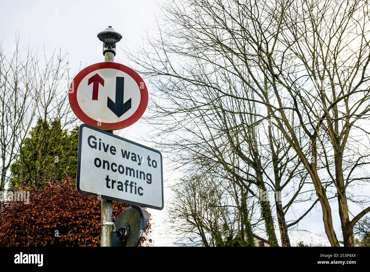 Give way to oncoming traffic road sign in winter Stock Photo - Alamy