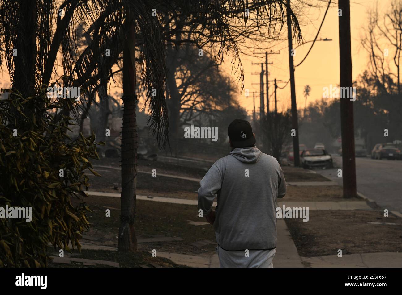 A person looks at a neighborhood destroyed after the Eaton Fire burns ...