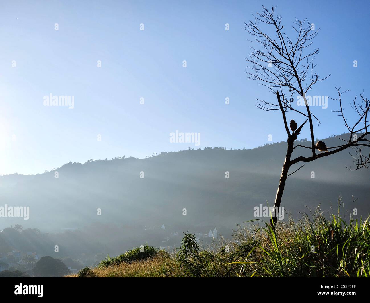 Pedra Grande, Atibaia, Brazil Stock Photo - Alamy