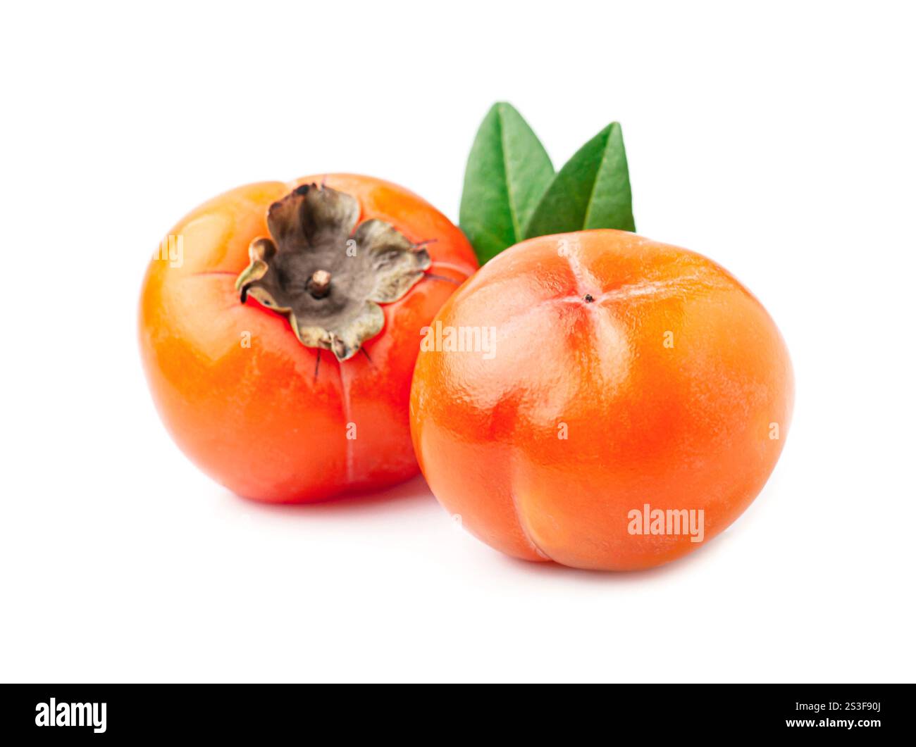 Persimmon leaves isolated on Cut Out Stock Images & Pictures - Alamy