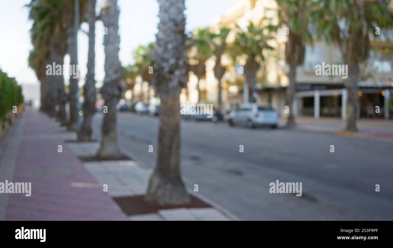 Blurred image of an outdoor street view with palm trees and parked cars ...