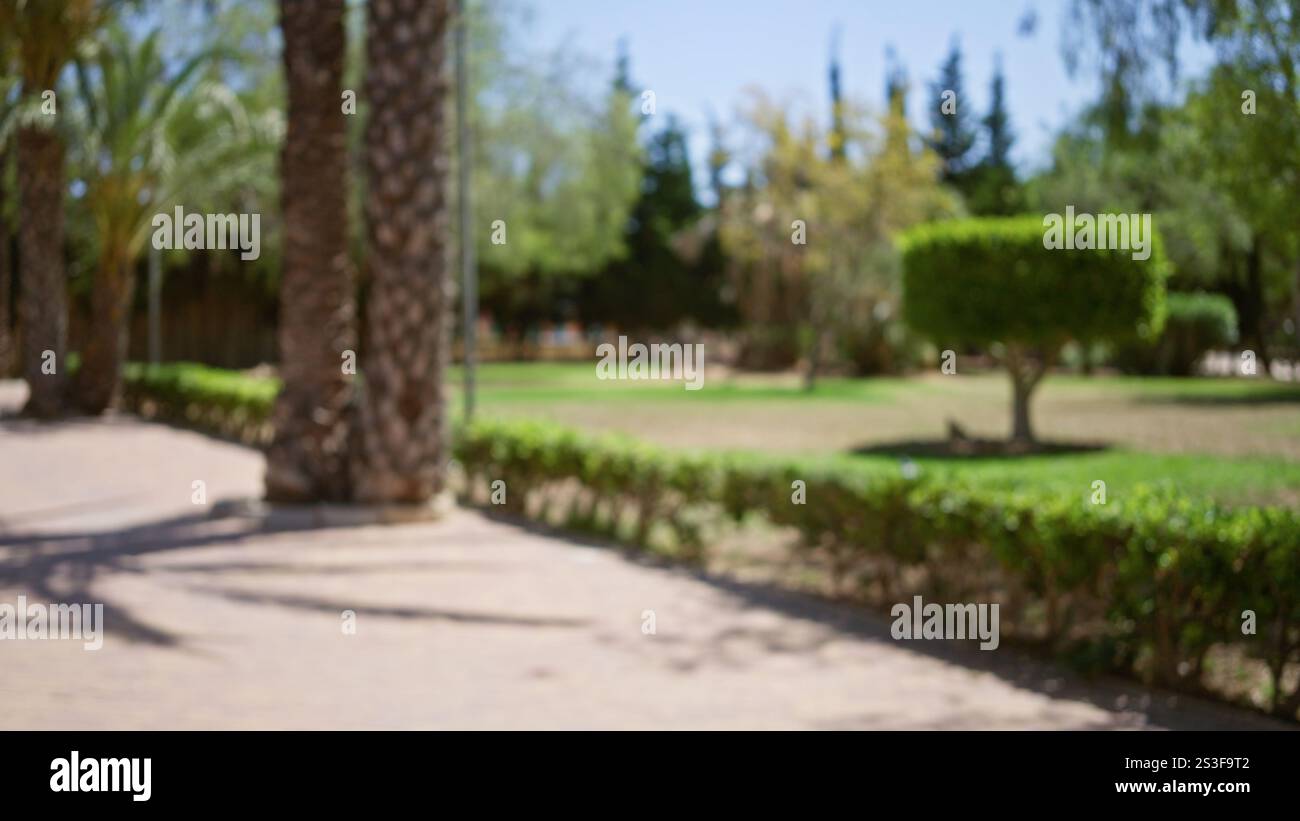 Blurry image of an outdoor park with palm trees, hedges, and lush ...