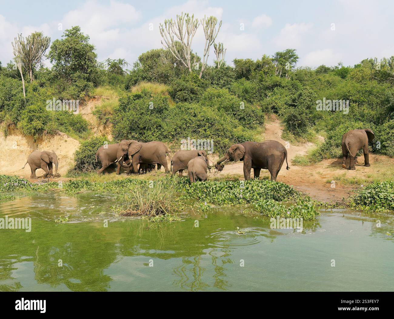 Kazinga Channel, Queen Elizabeth National Park, Uganda, East Africa ...