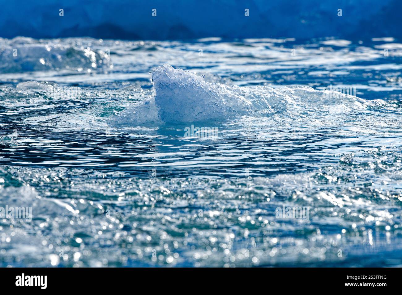 Close-up of glacial fragments of ice floating in seawater very close to ...