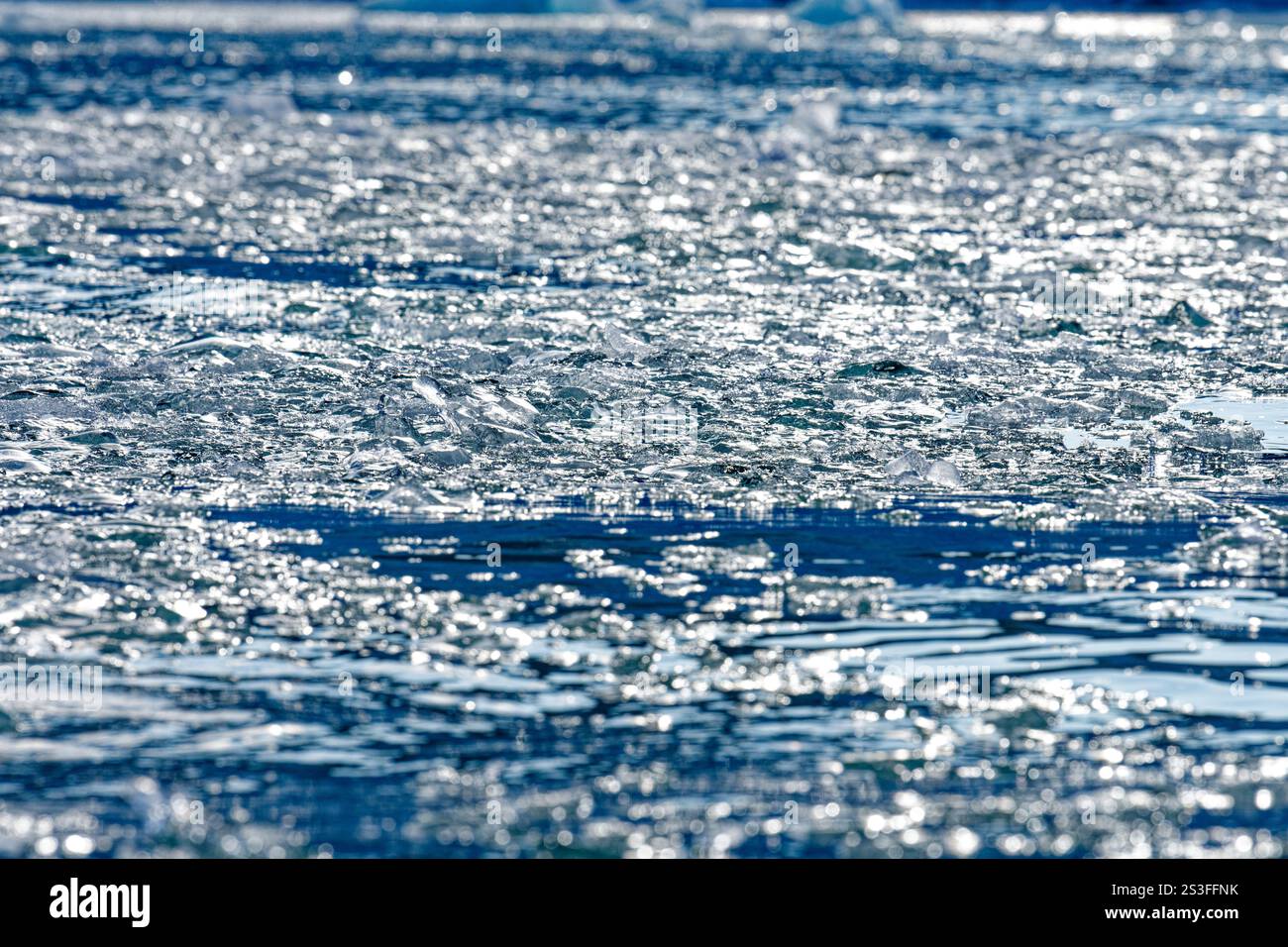 Close-up of glacial fragments of ice floating in seawater very close to ...