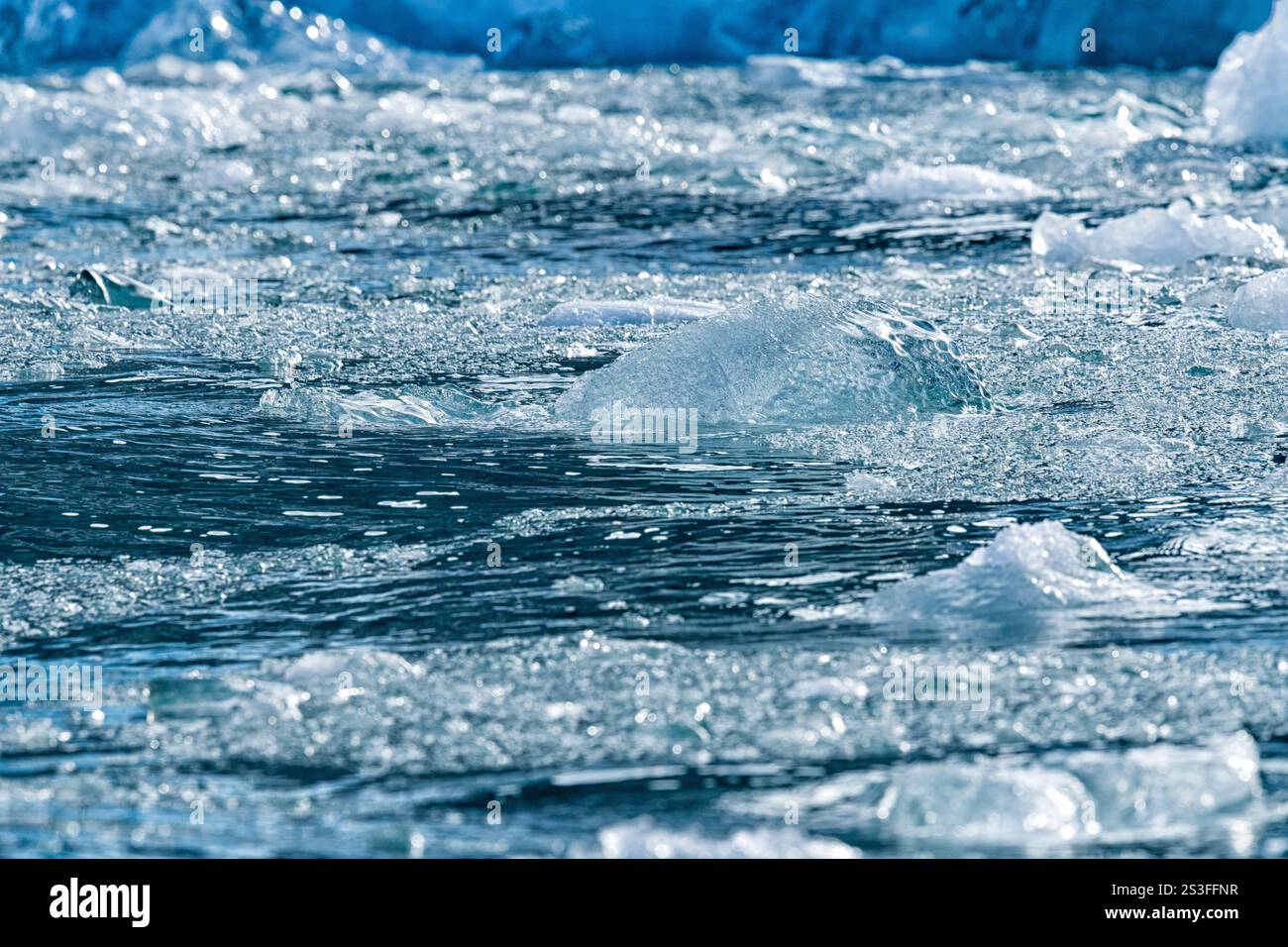 Close-up of glacial fragments of ice floating in seawater very close to ...