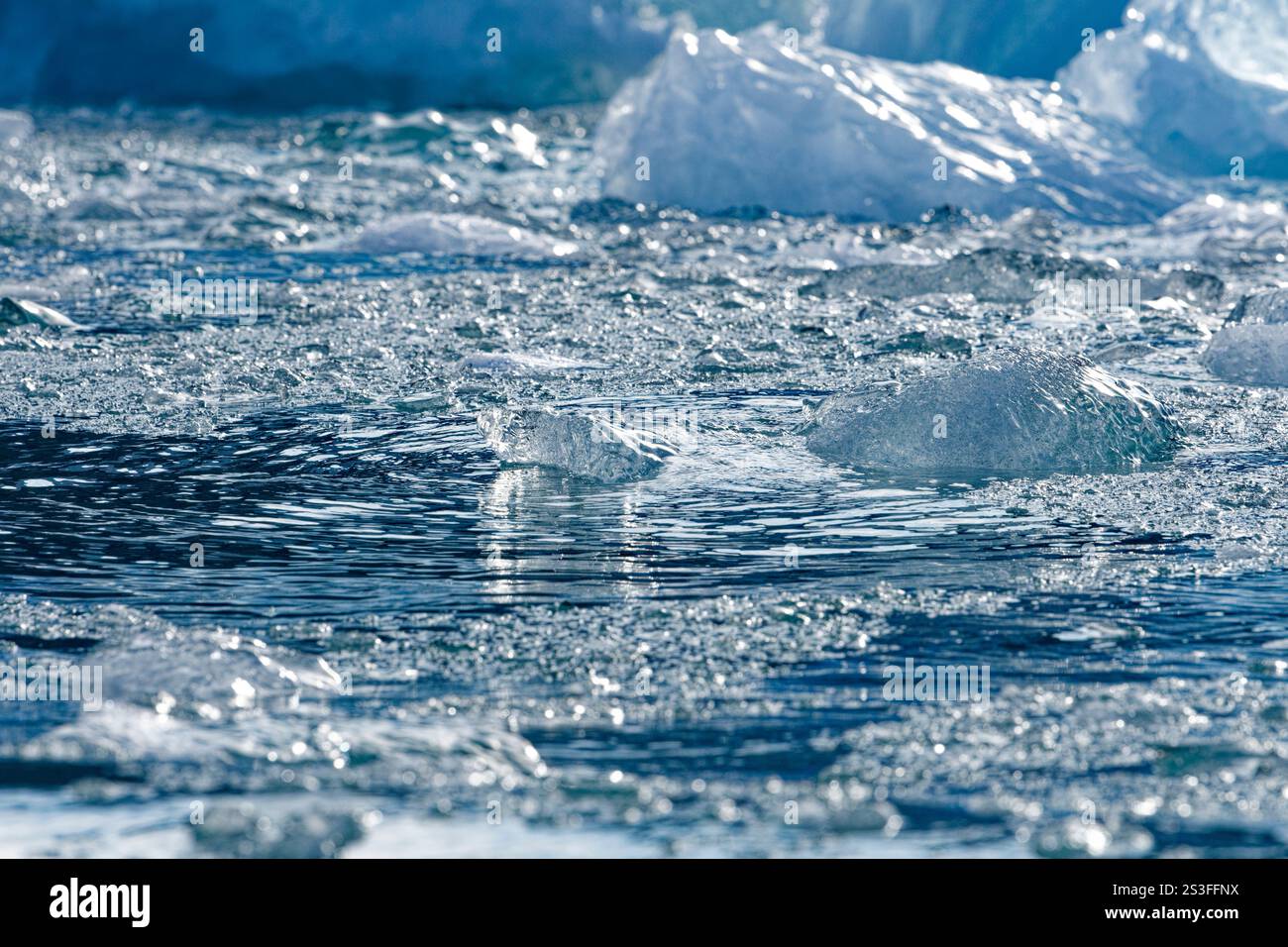 Close-up of glacial fragments of ice floating in seawater very close to ...