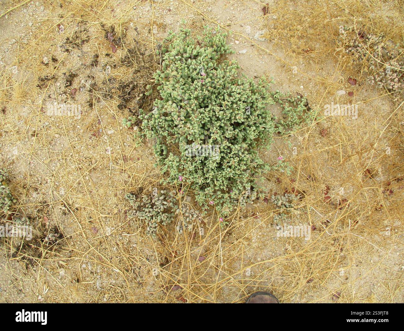 Oukraal hi-res stock photography and images - Alamy