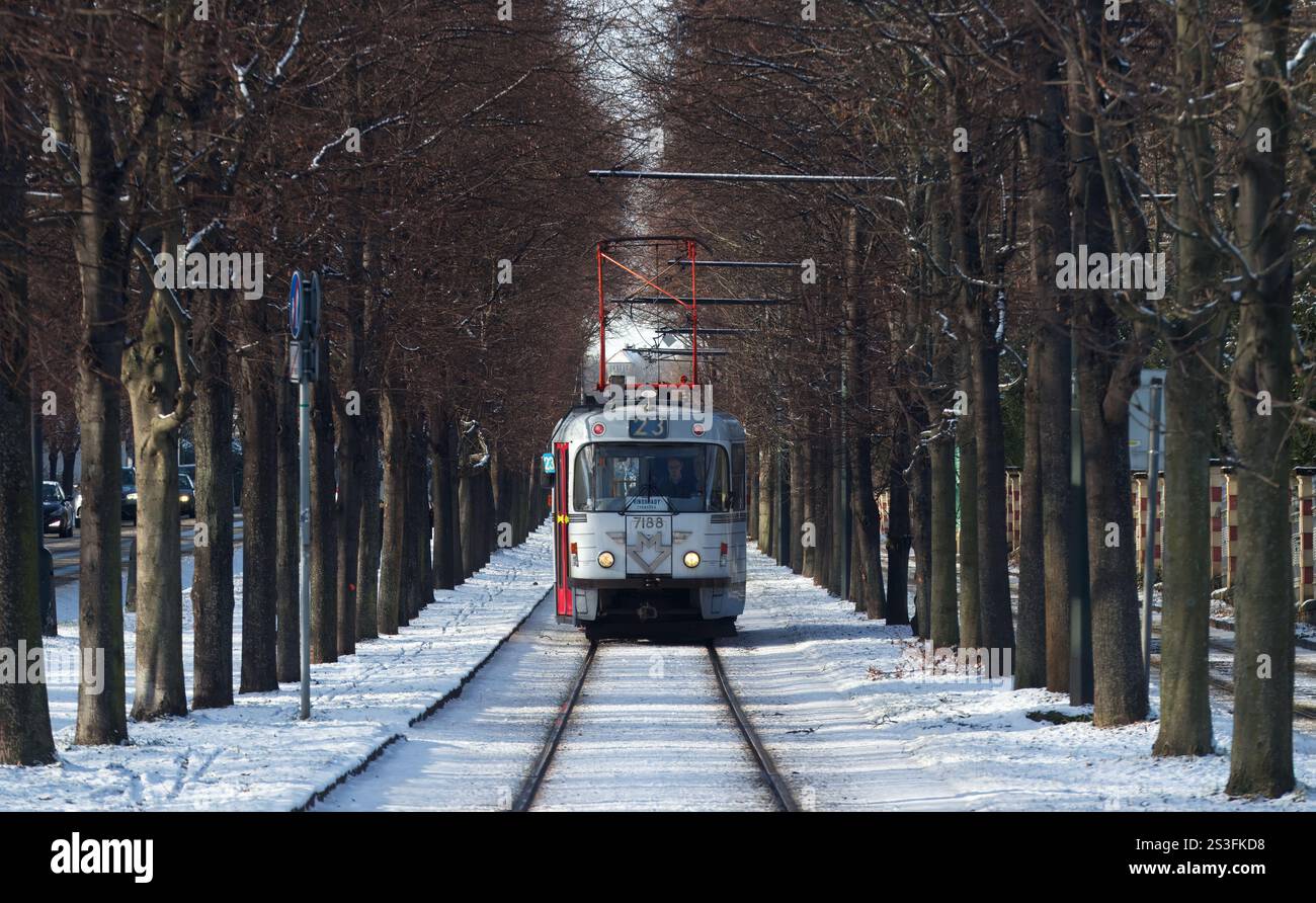 Prague, Czech Republic - January 4, 2025: Tram number 23 in colour ...