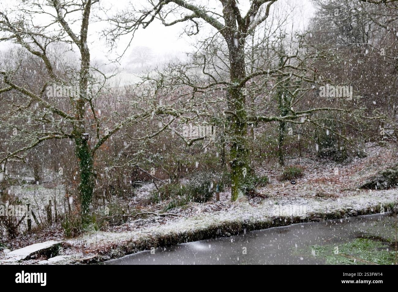 Snow snowflakes fall falling on a garden pond in freezing cold snowy ...