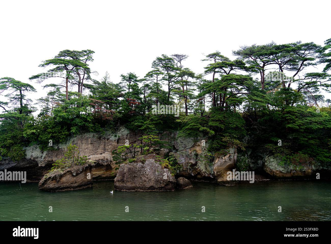 The rock formations in Matsushima Bay, Japan, are made of tuff ...