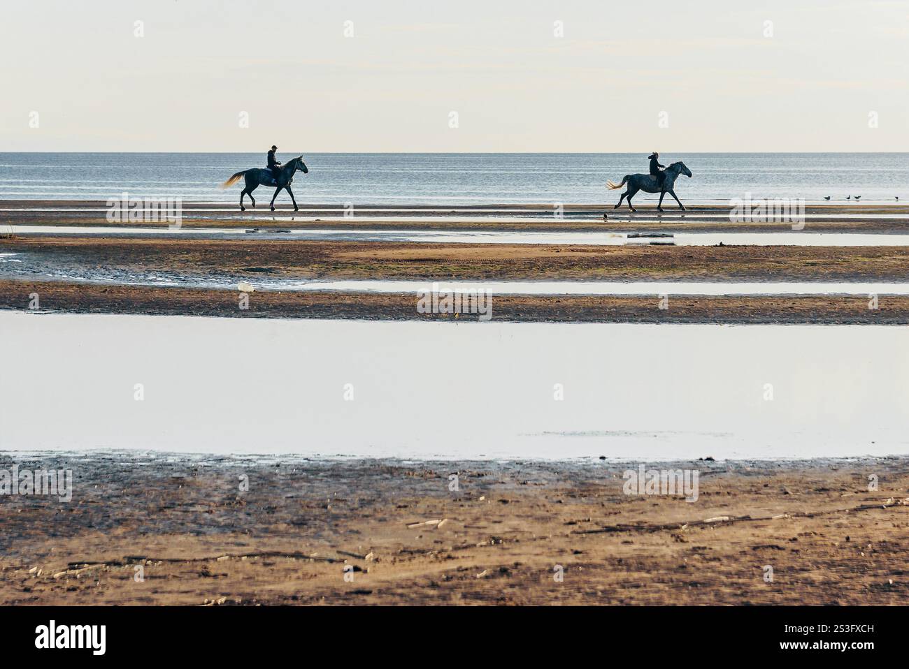Two horses riding along beach hi-res stock photography and images - Alamy