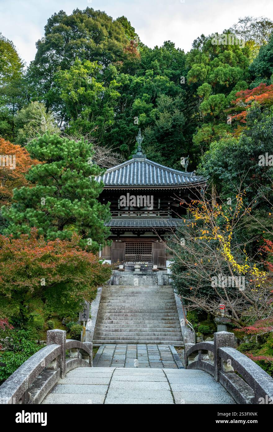 Chioni hi-res stock photography and images - Alamy