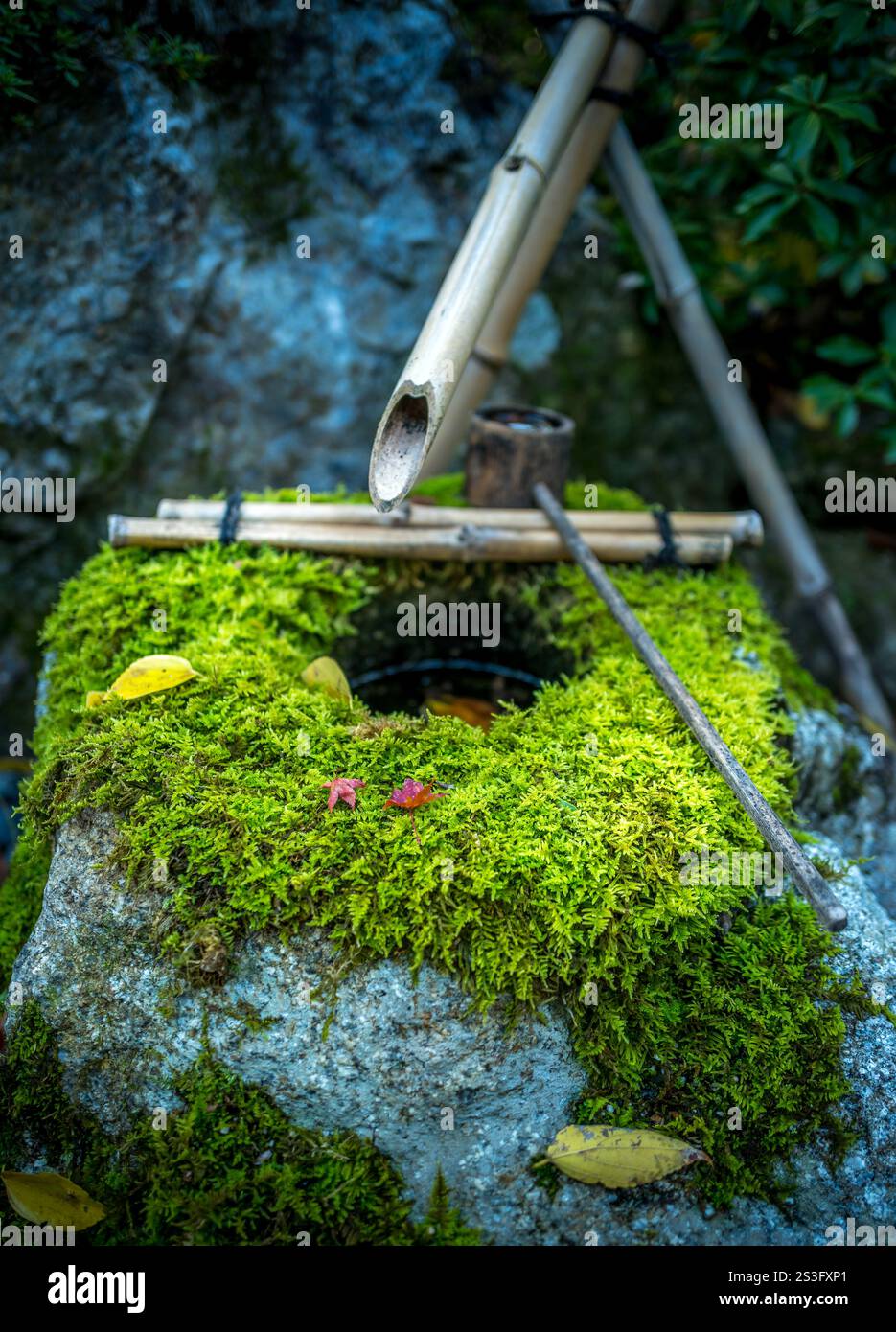 Japanese shrines water purification ritual temizu or chozu Stock Photo ...