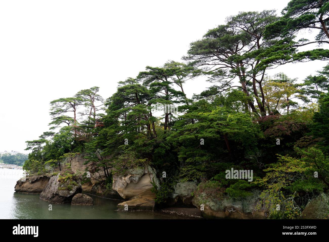 The rock formations in Matsushima Bay, Japan, are made of tuff ...