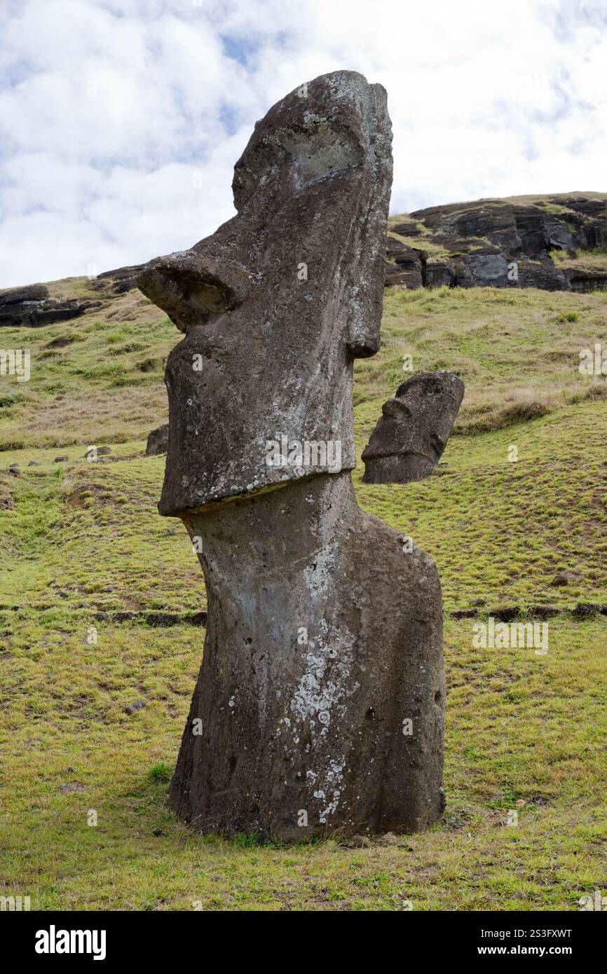 Half buried Moai (monolithic statues) at Rano Raraku, the quarry where ...