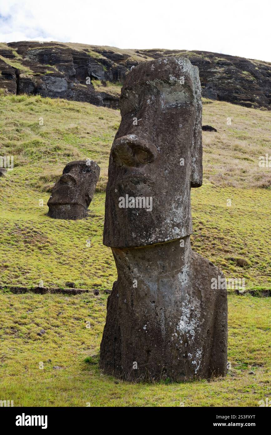 Half buried Moai (monolithic statues) at Rano Raraku, the quarry where ...