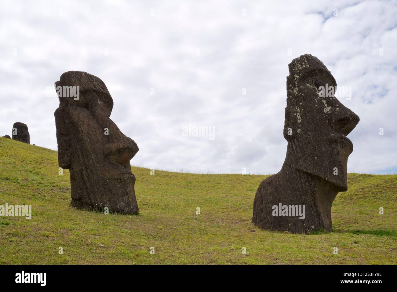 Half buried Moai (monolithic statues) at Rano Raraku, the quarry where ...