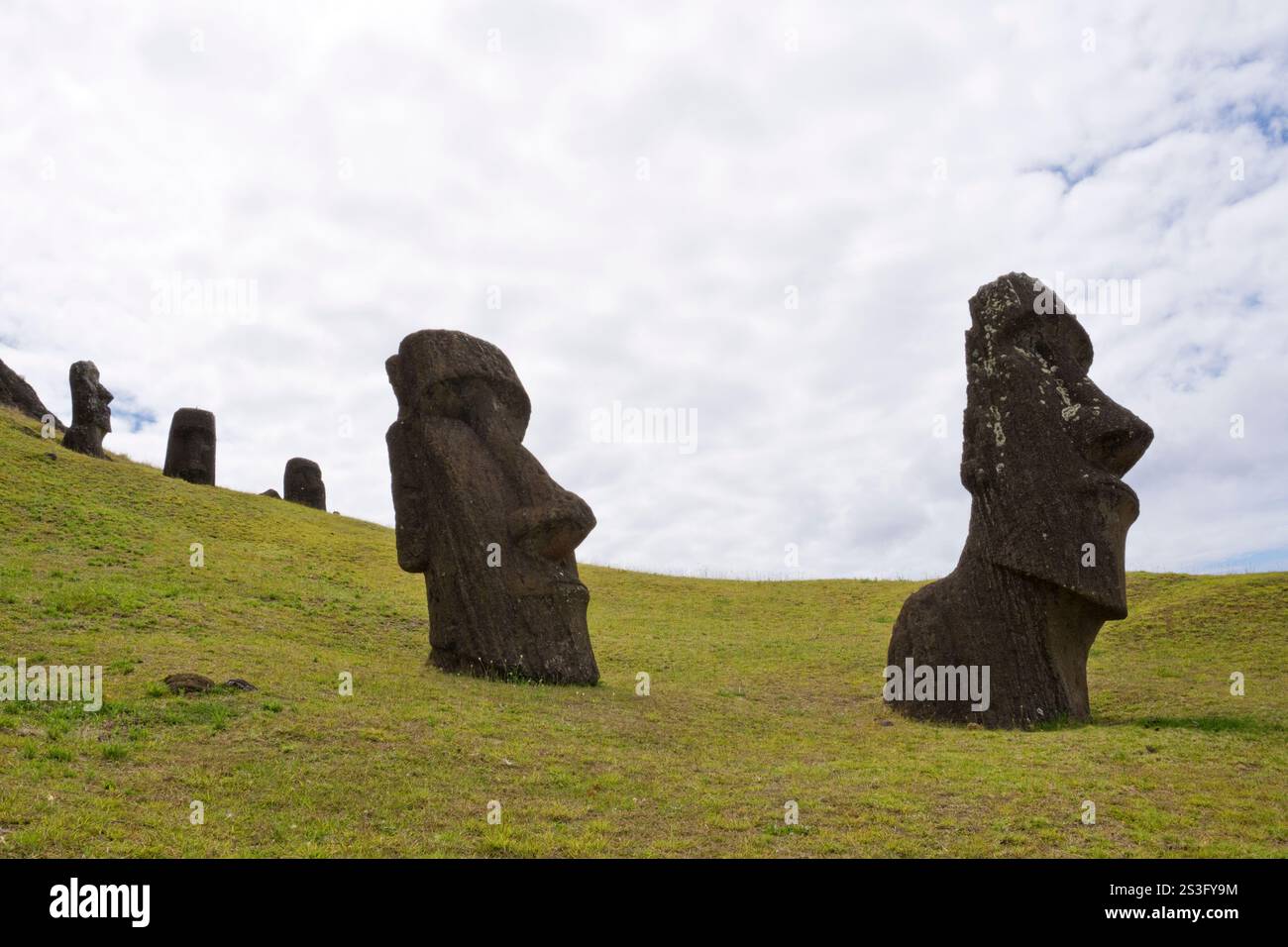 Half buried Moai (monolithic statues) at Rano Raraku, the quarry where ...