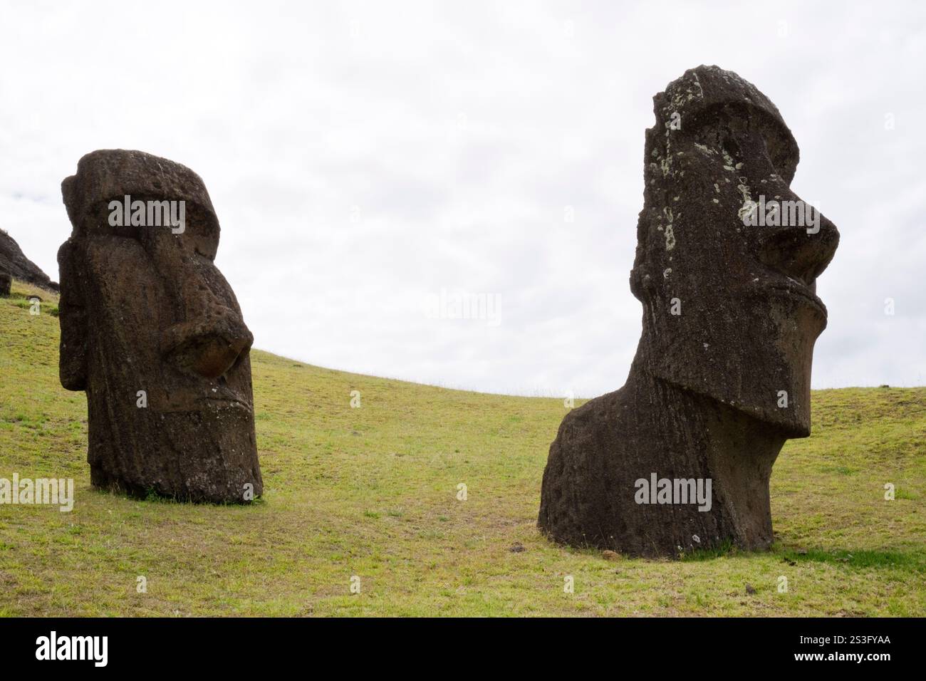 Half buried Moai (monolithic statues) at Rano Raraku, the quarry where ...
