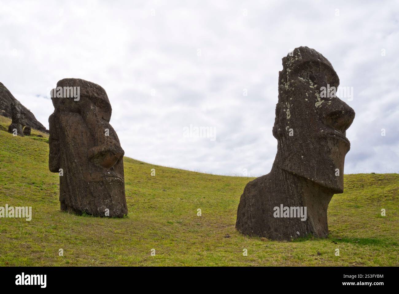 Half buried Moai (monolithic statues) at Rano Raraku, the quarry where ...